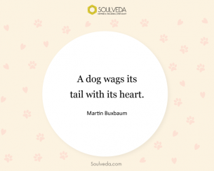 Celebrate International Dog Day with Heartfelt Dog Love Quotes