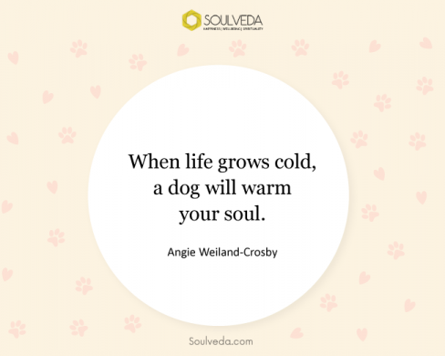 Celebrate International Dog Day with Heartfelt Dog Love Quotes