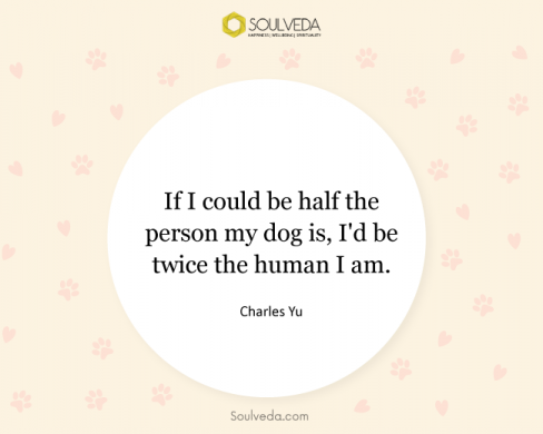 Celebrate International Dog Day with Heartfelt Dog Love Quotes