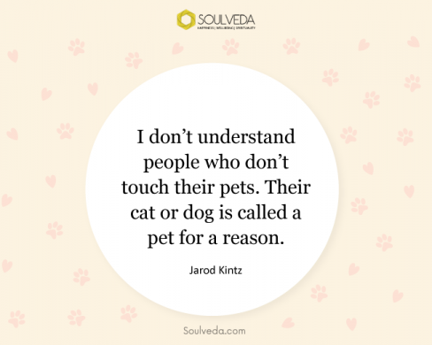 Celebrate International Dog Day with Heartfelt Dog Love Quotes