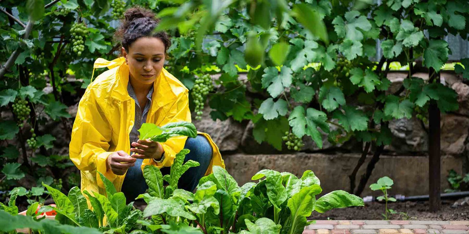 How Helping Others can Improve your Wellbeing