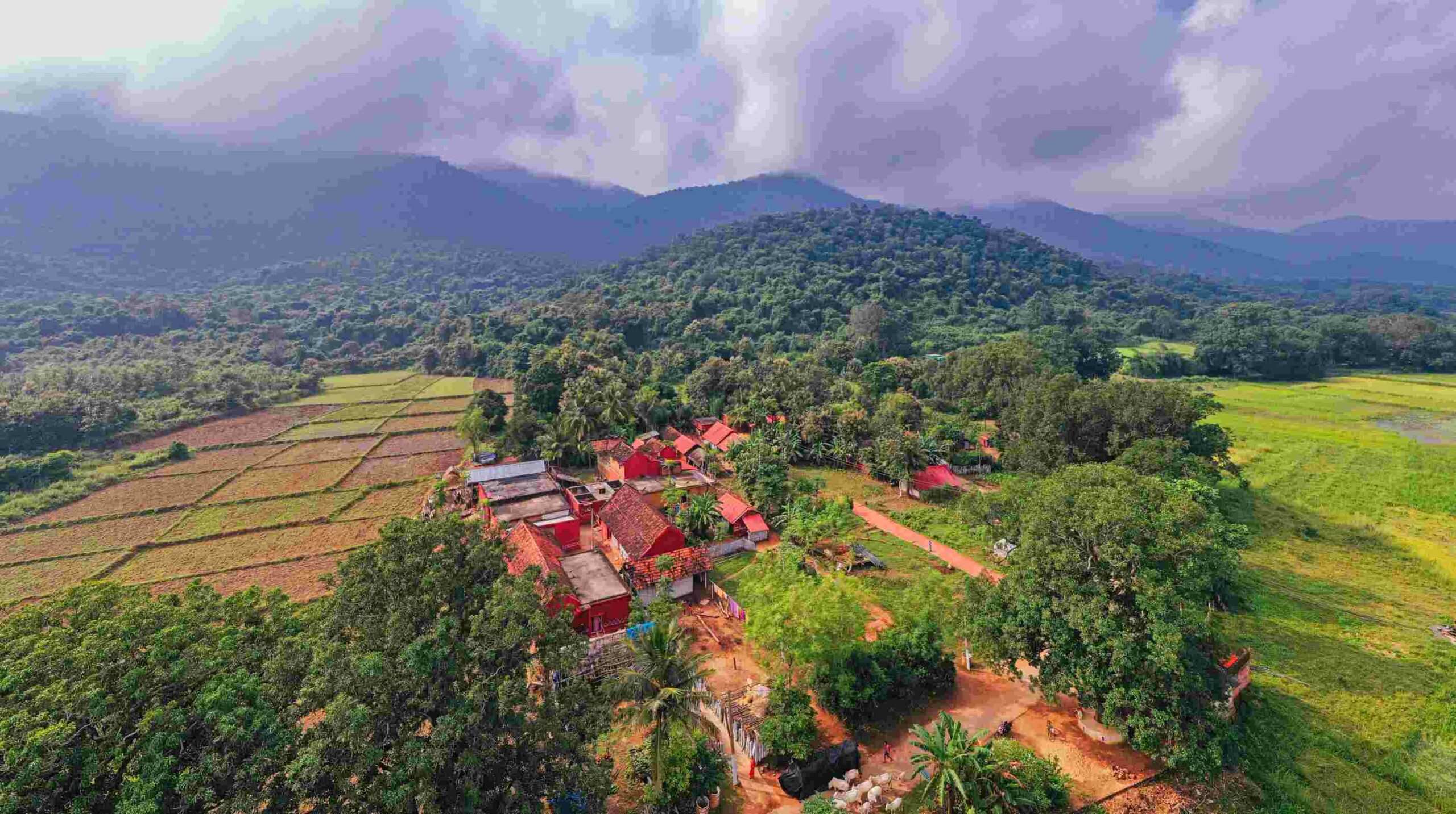 Forest Officer Creates Odisha’s First Eco-Village, Residents Earn 2 Crore