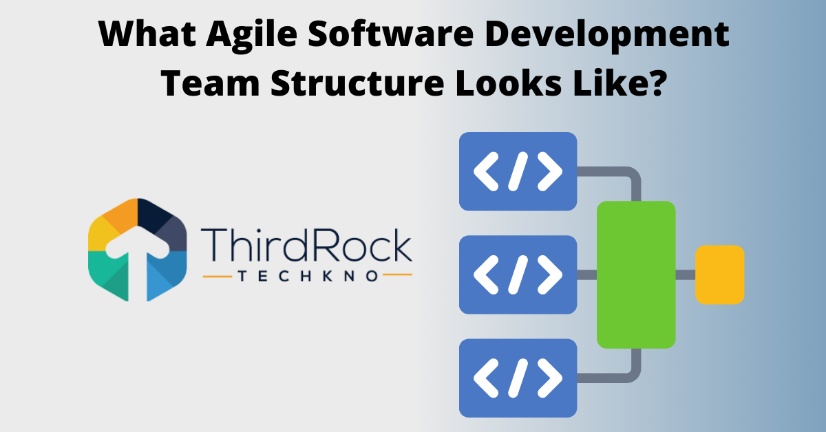 What Agile Software Development Team Structure Looks Like? | Thirdock ...